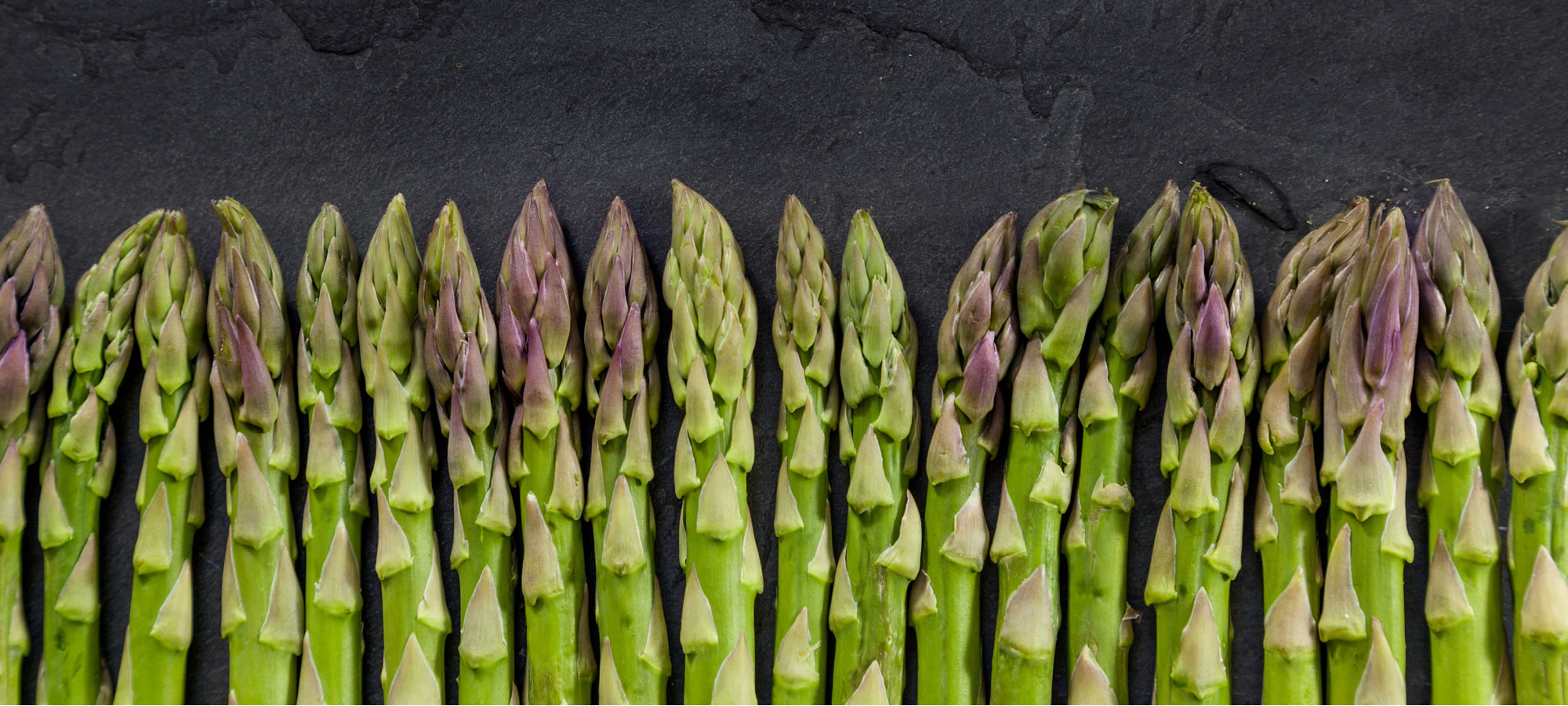 Clients - Cindy Webster Cooks